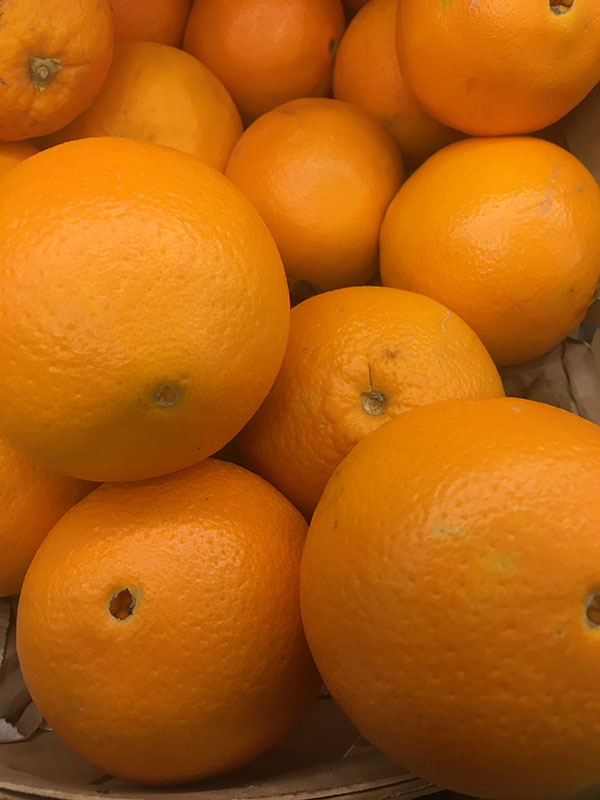 Zuma Natural Foods – Connecting people to good food